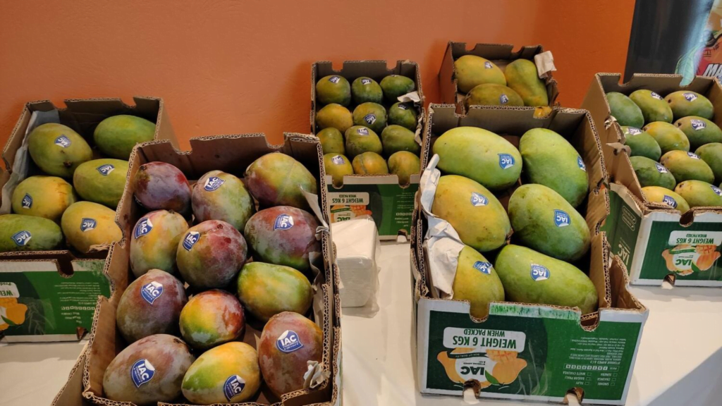 Abu Dhabi Embraces the Flavors of Pakistan at the Mango Festival